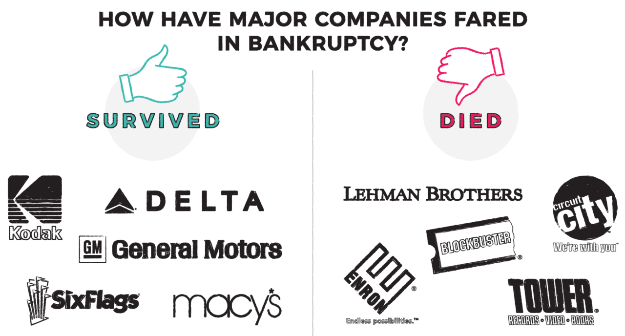What is Bankruptcy? – Napkin Finance